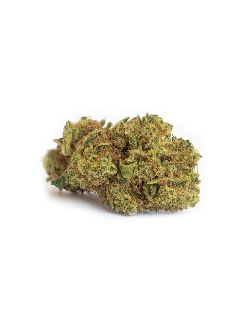 Mojito Indoor CBD Blüten Kaufen | Online CBD Shop Schweiz